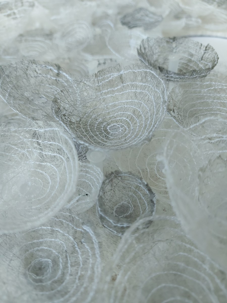 Warped Earth 1 | Marian Jazmik