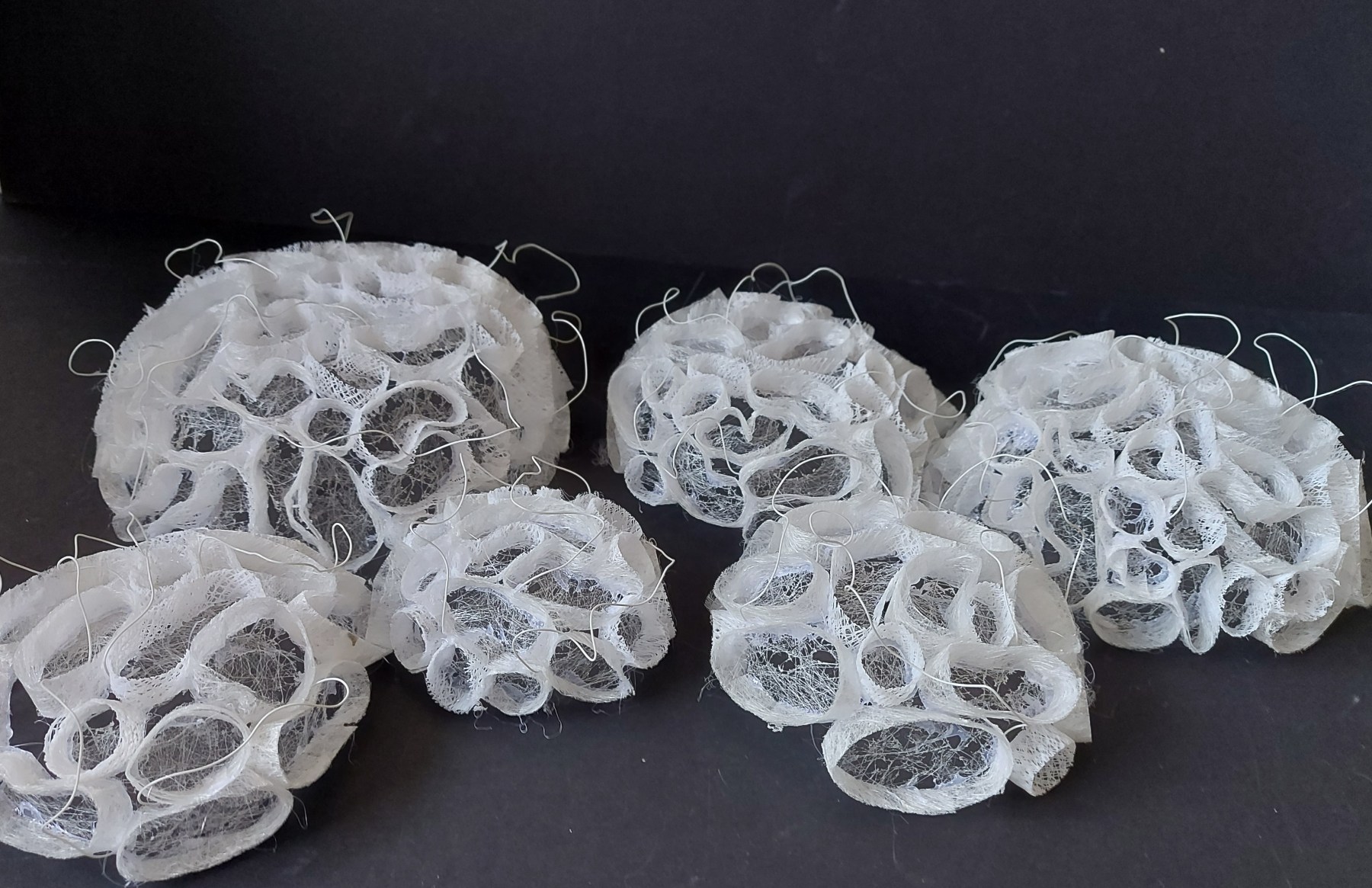 Coral 5 | Marian Jazmik